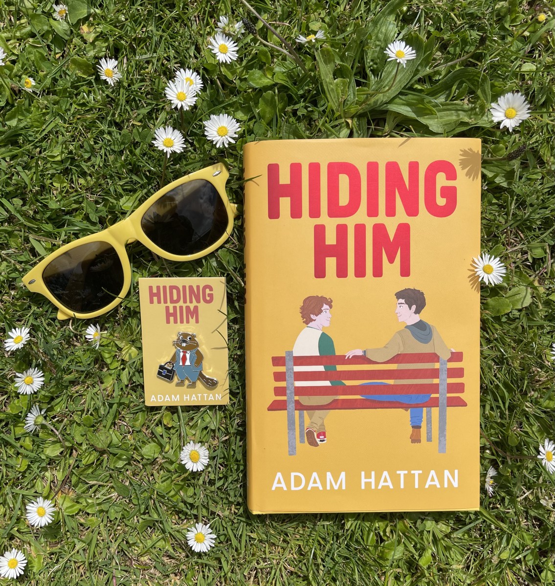 Hiding Him | A Cosy, Endearing and Heartwarming Read – One Show at a Time